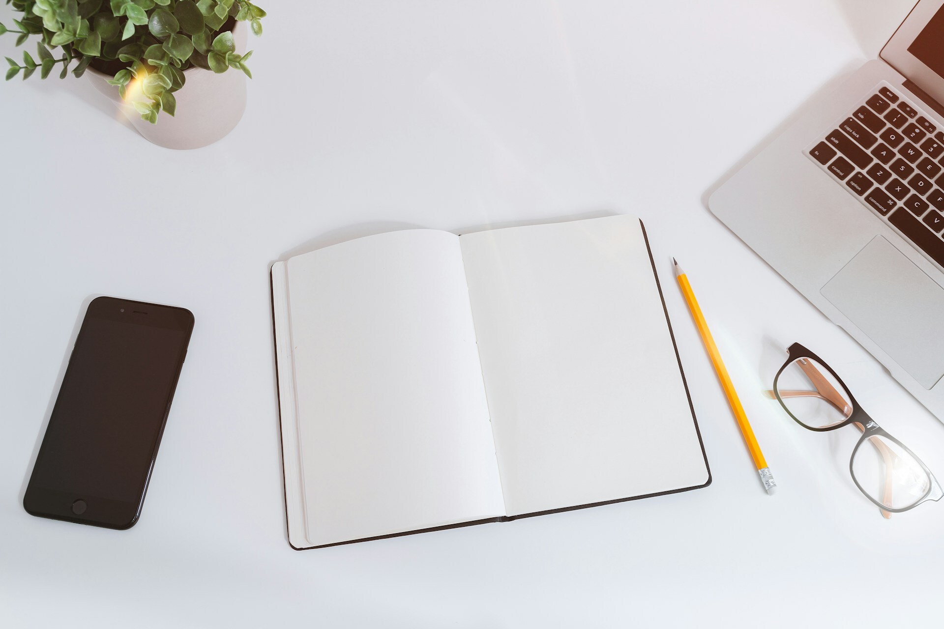 Guide Complet: Comment Faire une Dissertation en Anglais