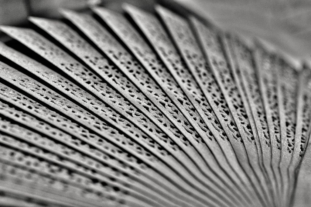 Mastering MLA Format Essay: Comprehensive Guide and Tips